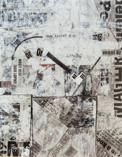 edcat – Two Tailed Dog